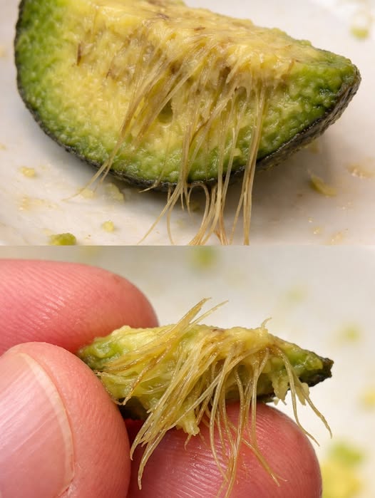 What Those Strange Strings in Your Avocado Really Mean — And Why You ...