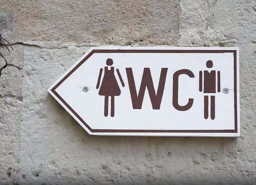 Meaning behind the ‘WC’ sign outside bathrooms - Dogrupara News